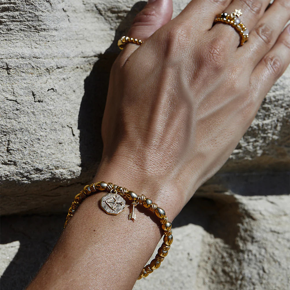 CHLOBO Gold Graceful Arrow Bracelet – The Secret Garden